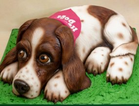 Cake of the Month May 2019 - Online Cake Competition