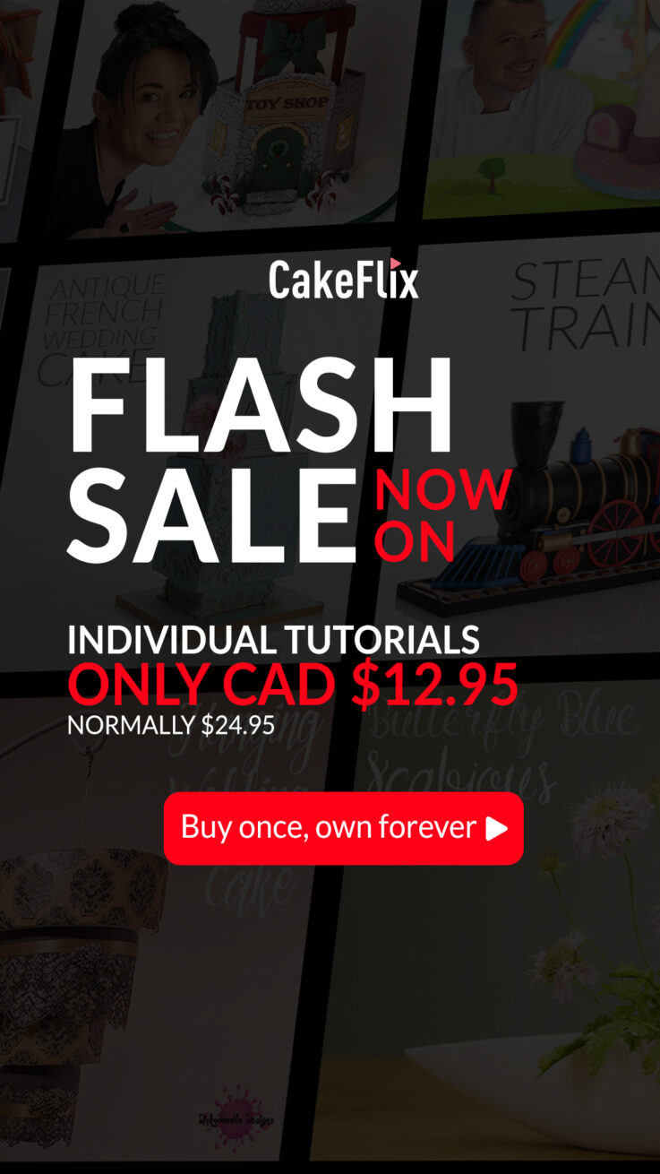 CAD-STORY-AD - CakeFlix