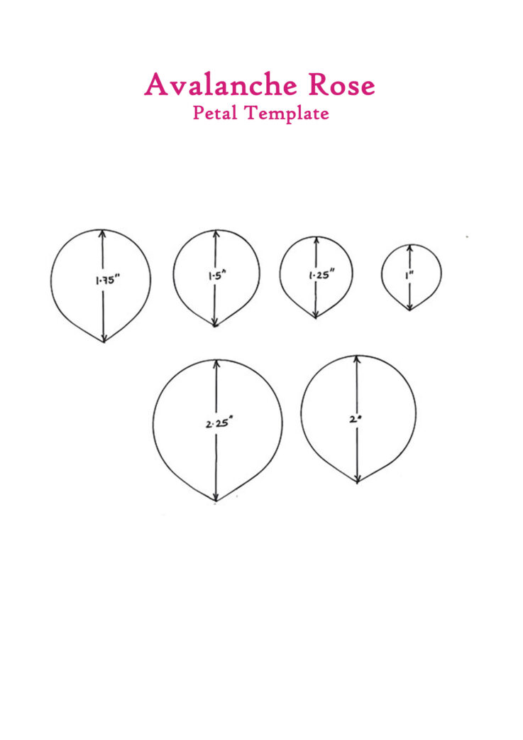 TheDreamCakes_AvalancheRose_Template - CakeFlix